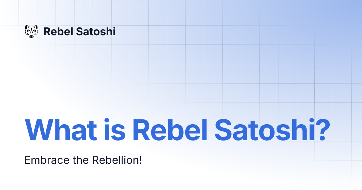 What is Rebel Satoshi? | Rebel Satoshi
